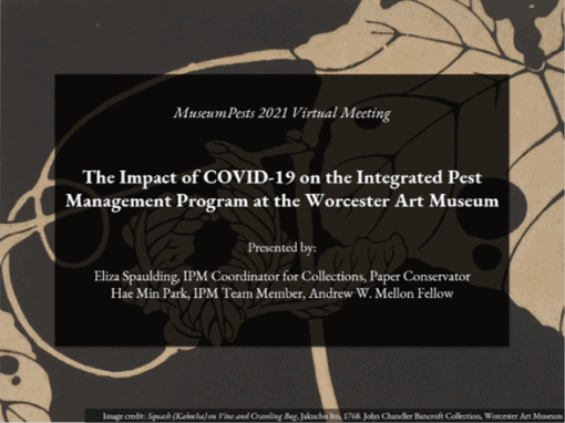 MuseumPests 1st Public Presentation Session March 11, 2021 ...