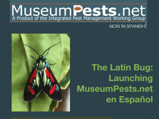 MuseumPests 1st Public Presentation Session March 11, 2021 ...